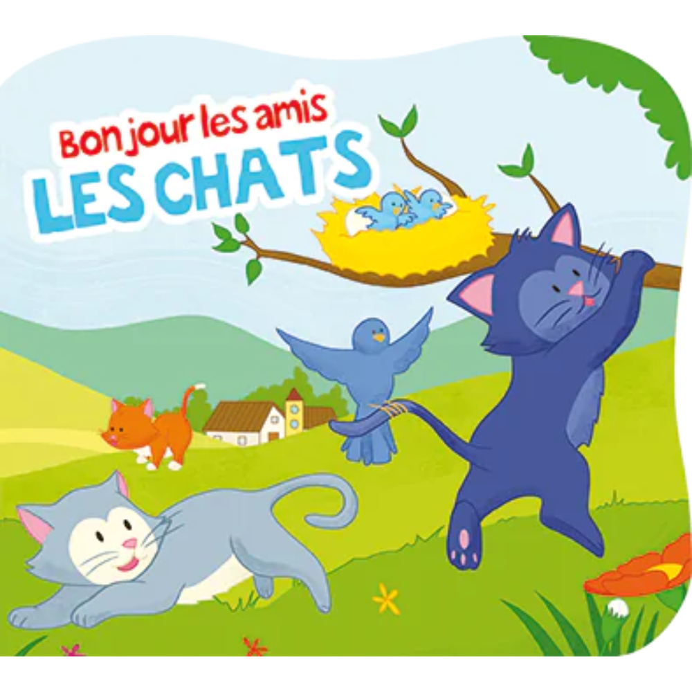 Bonjour les amis : Les Chats | Eveil-Montessori Maroc – Eveil Montessori
