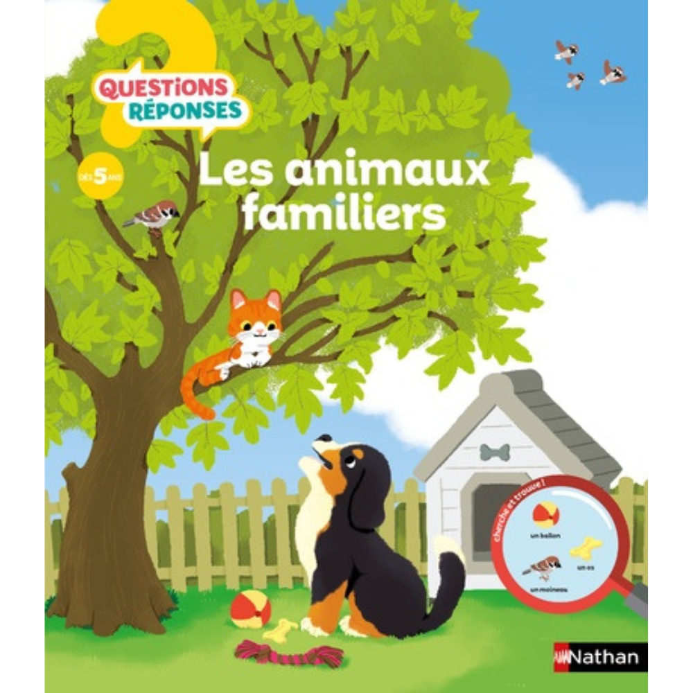Les animaux familiers - Questions/Réponses | Eveil-Montessori Maroc ...