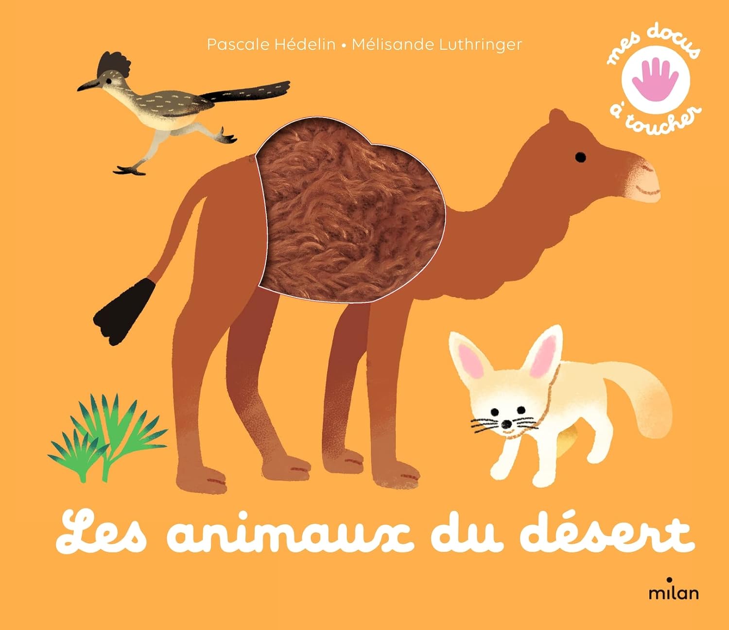 Les animaux du désert | Eveil Montessori Maroc