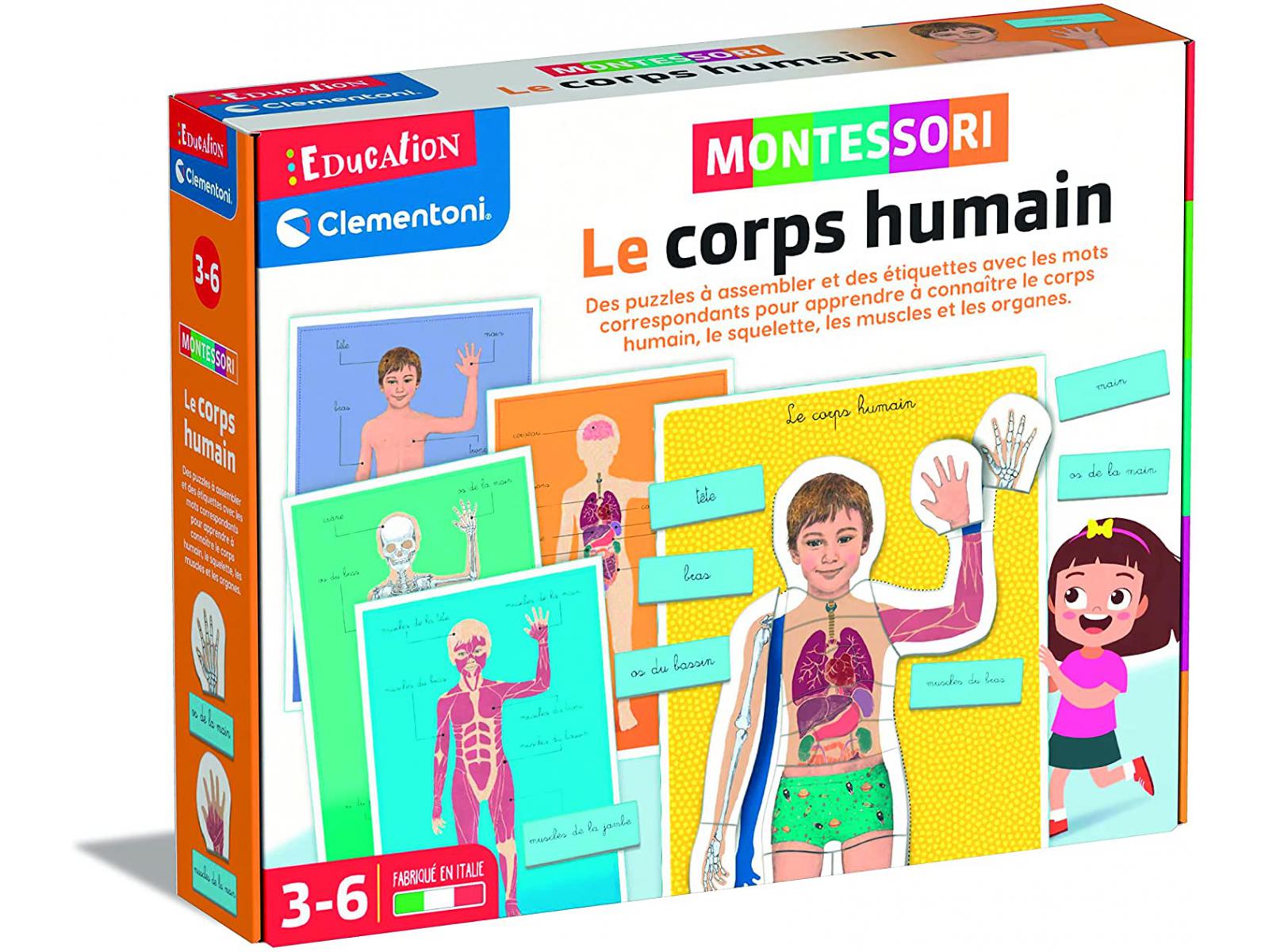 Le corps humain | Eveil-Montessori Maroc – Eveil Montessori